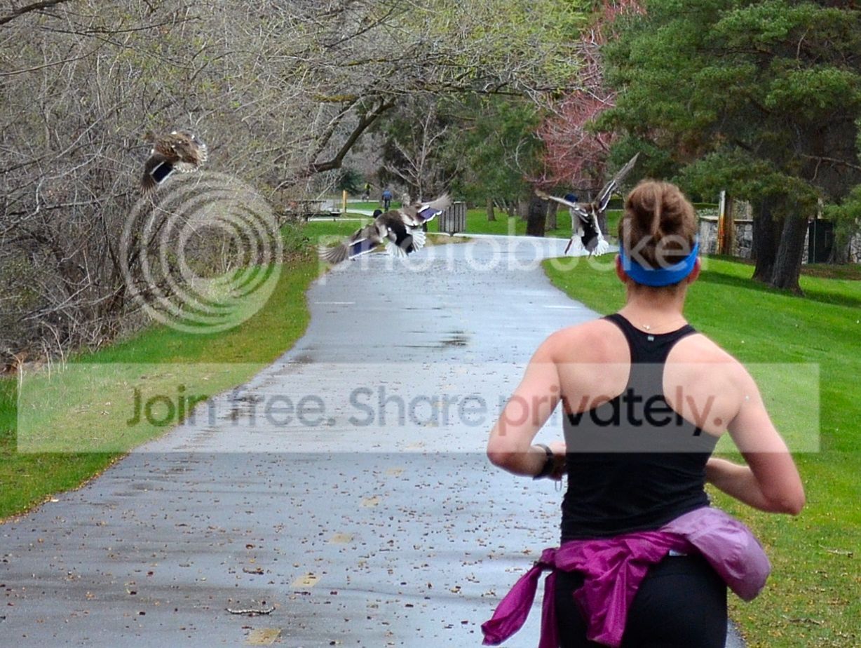 Boise Blossoms like the Rose ~ Spring - SkyscraperPage Forum