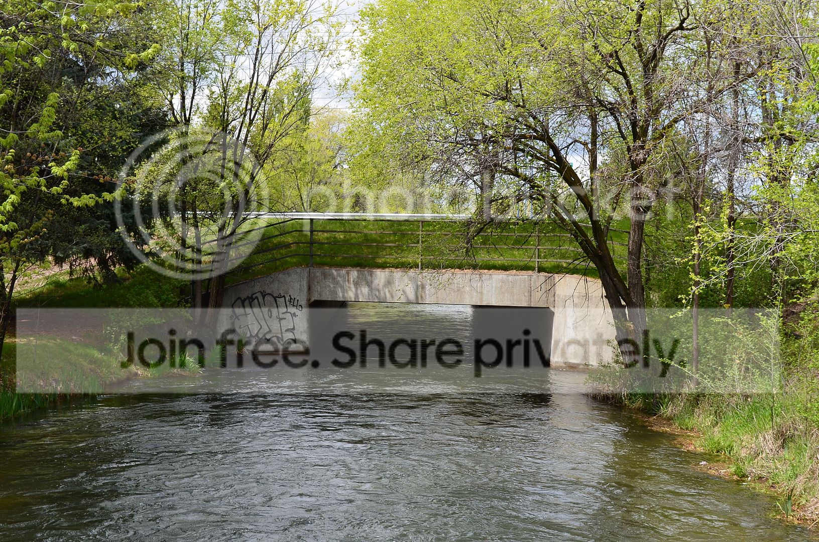 Boise Blossoms like the Rose ~ Spring - SkyscraperPage Forum