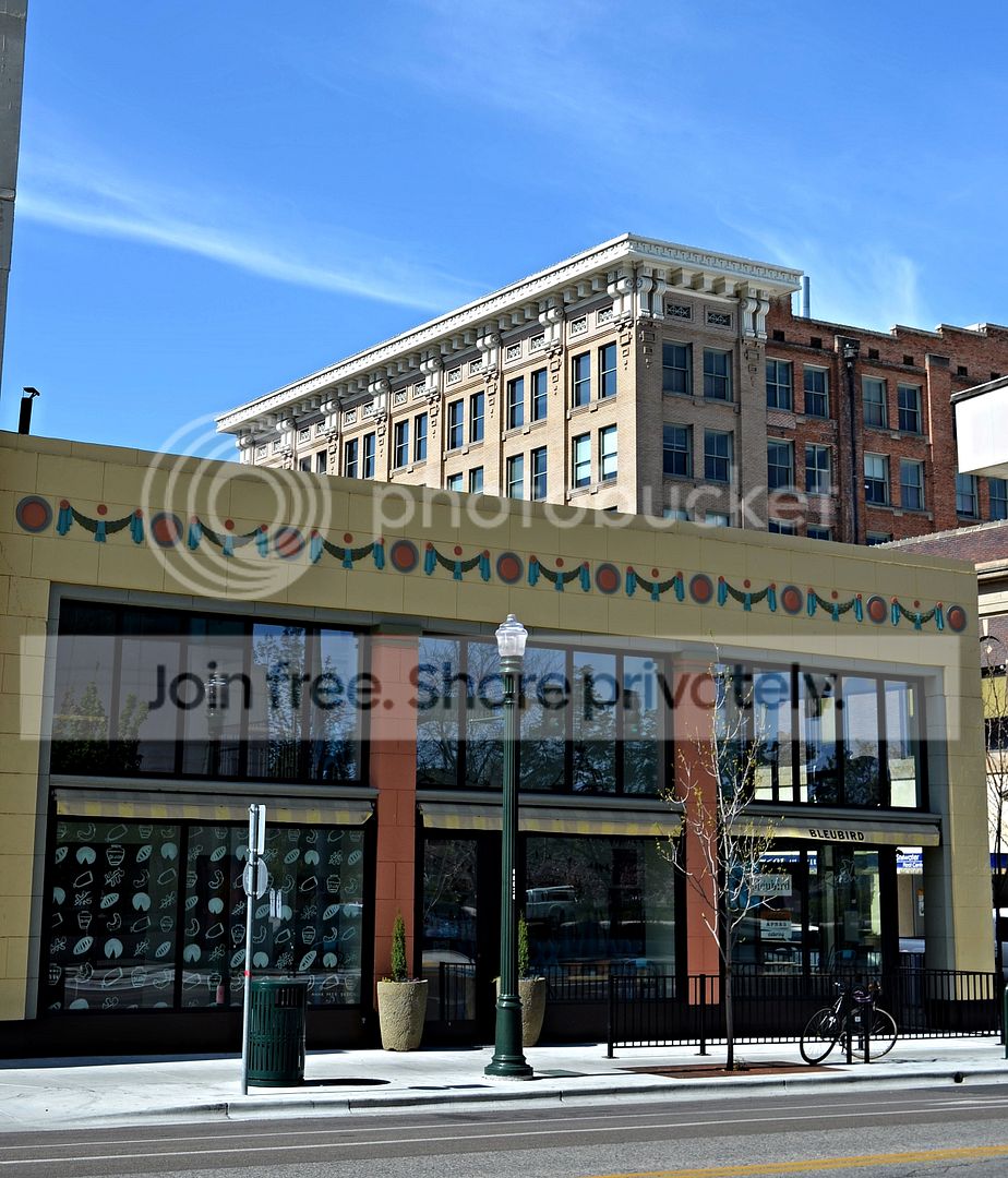 Boise Blossoms like the Rose ~ Spring - SkyscraperPage Forum