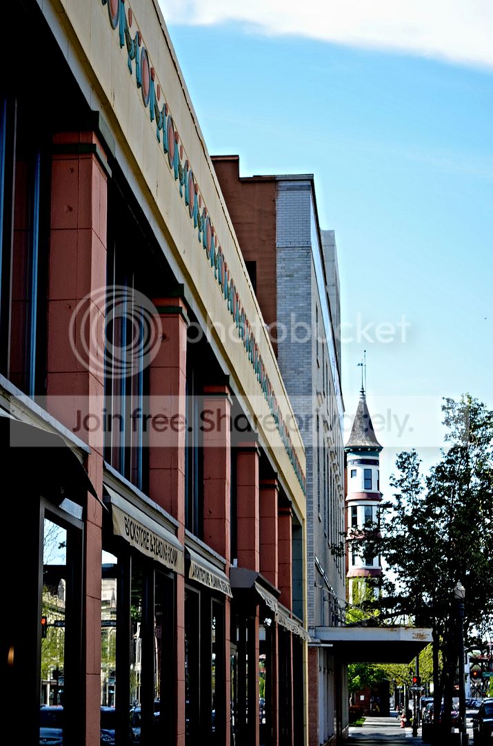 Boise Blossoms like the Rose ~ Spring - SkyscraperPage Forum