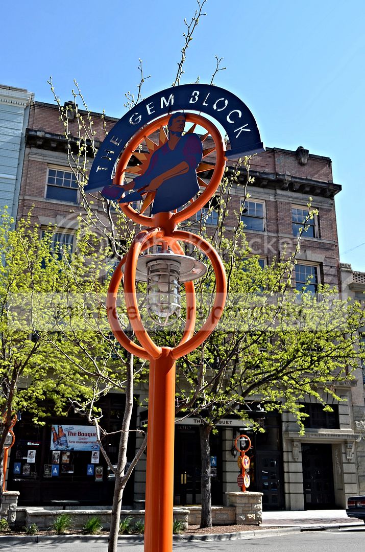 Boise Blossoms like the Rose ~ Spring - SkyscraperPage Forum