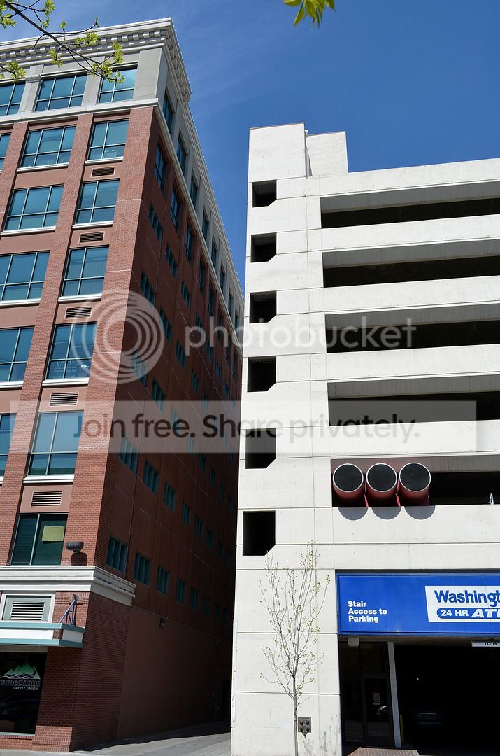 Boise Blossoms like the Rose ~ Spring - SkyscraperPage Forum