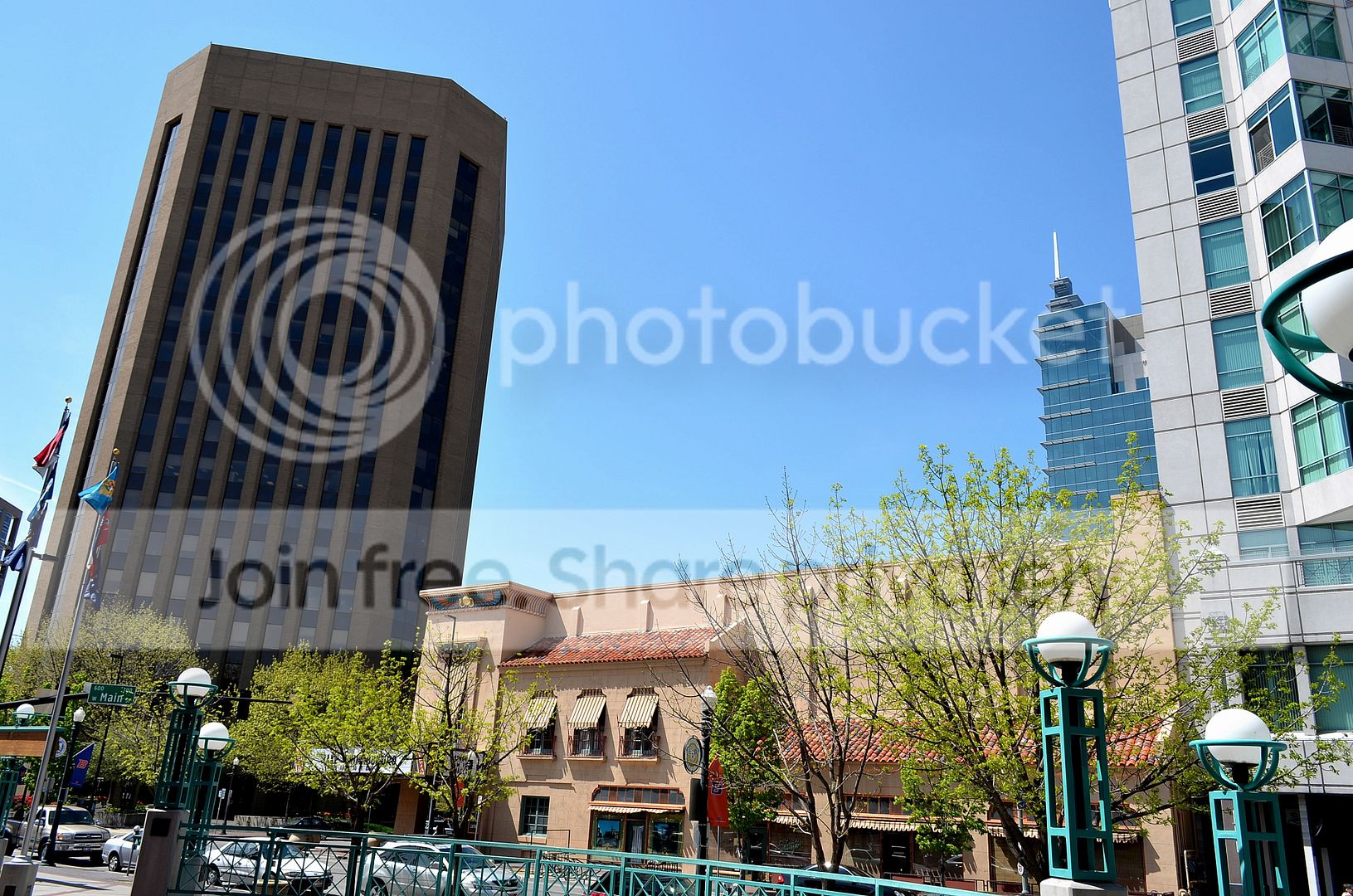 Boise Blossoms like the Rose ~ Spring - SkyscraperPage Forum