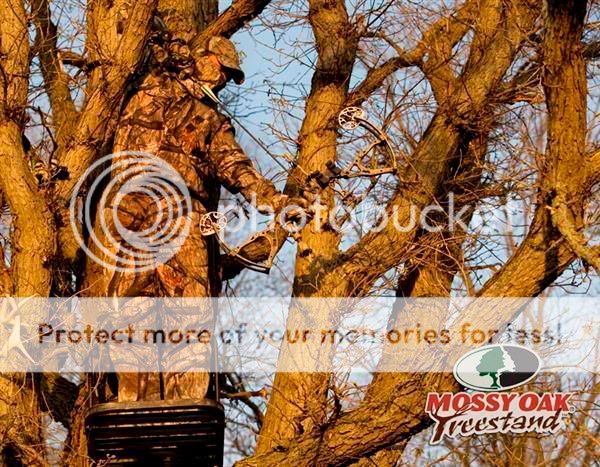 Mossyoak releases new Treestand Camo at ATA show............. | Archery ...