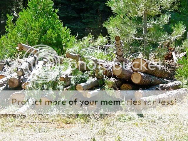 Pics and Story: FOE Tree Farm Workparty | Pirate 4x4