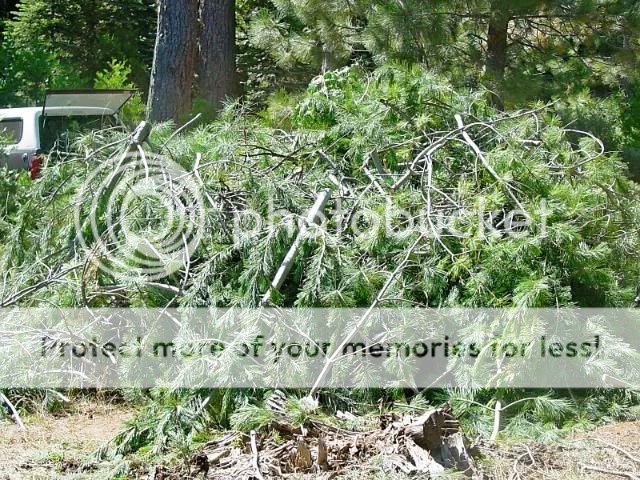 Pics and Story: FOE Tree Farm Workparty | Pirate 4x4