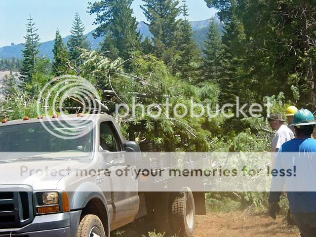 Pics and Story: FOE Tree Farm Workparty | Pirate 4x4