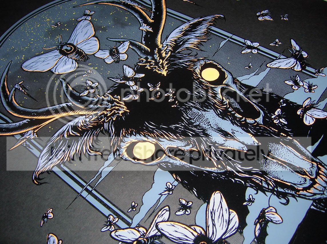 moth-deer-head---poster---photo-deets1.jpg