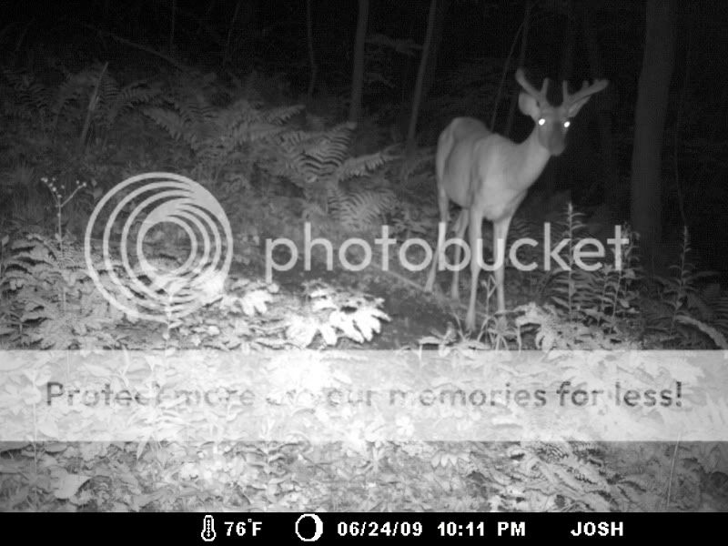 Mid June to Mid July Cam Pics - A couple bum racks, cranes are back ...