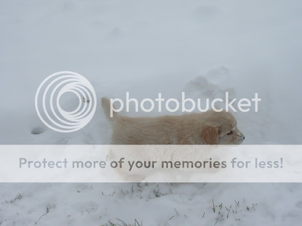 [PICTURES] Introducing Dichi's Living The Good Life "Lucky" | Golden ...