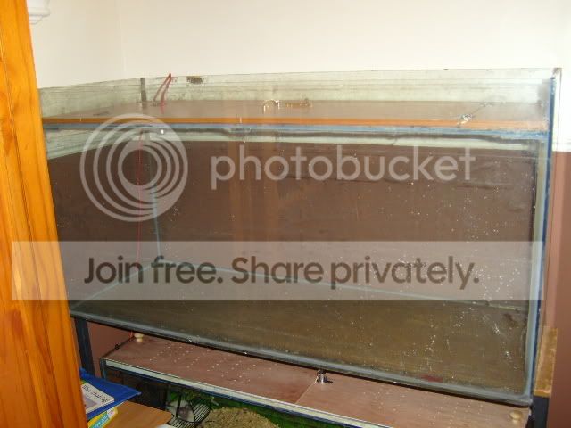 large 4 foot tank | Reptile Forums